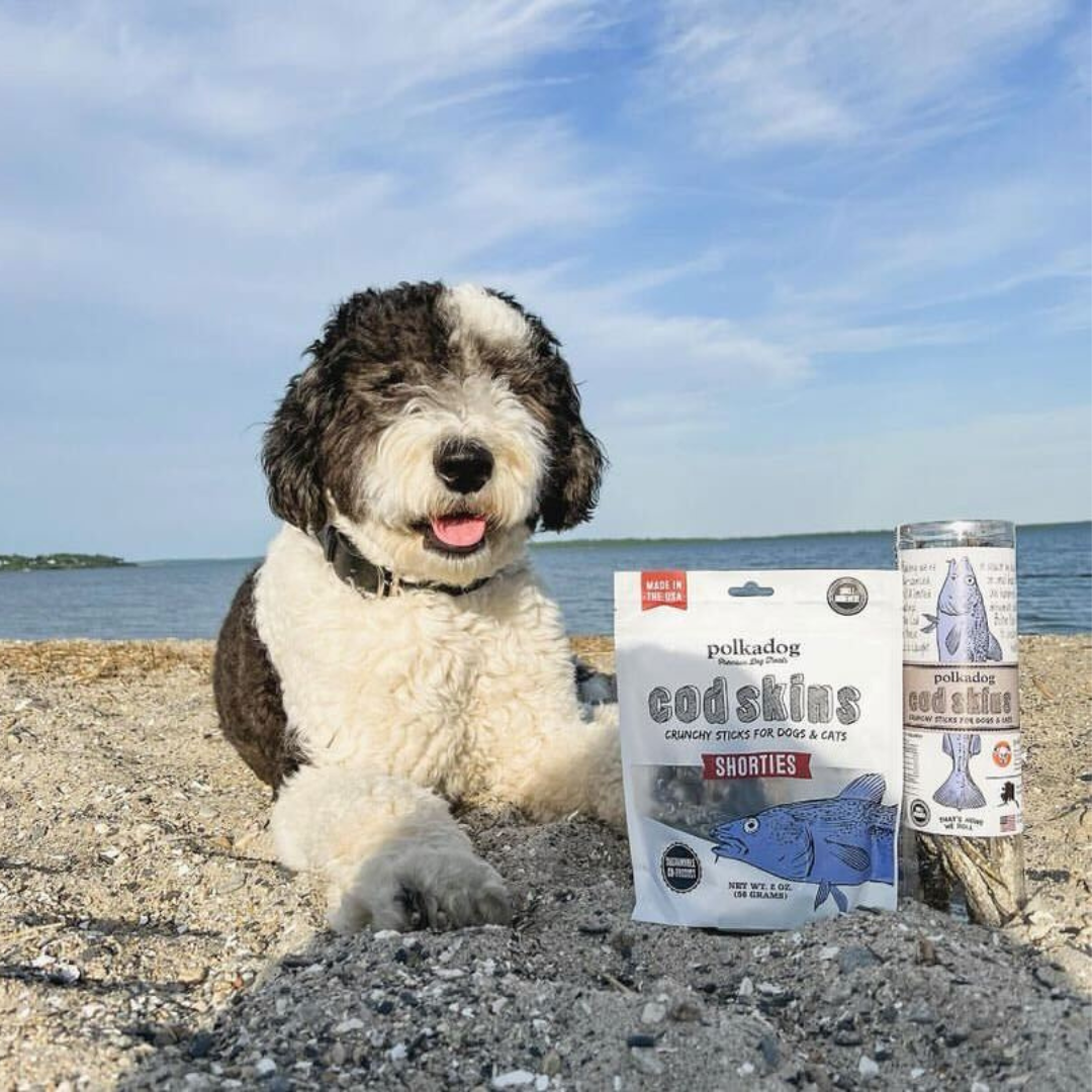 Our Dog-Friendly Summer Bucket List – Polkadog