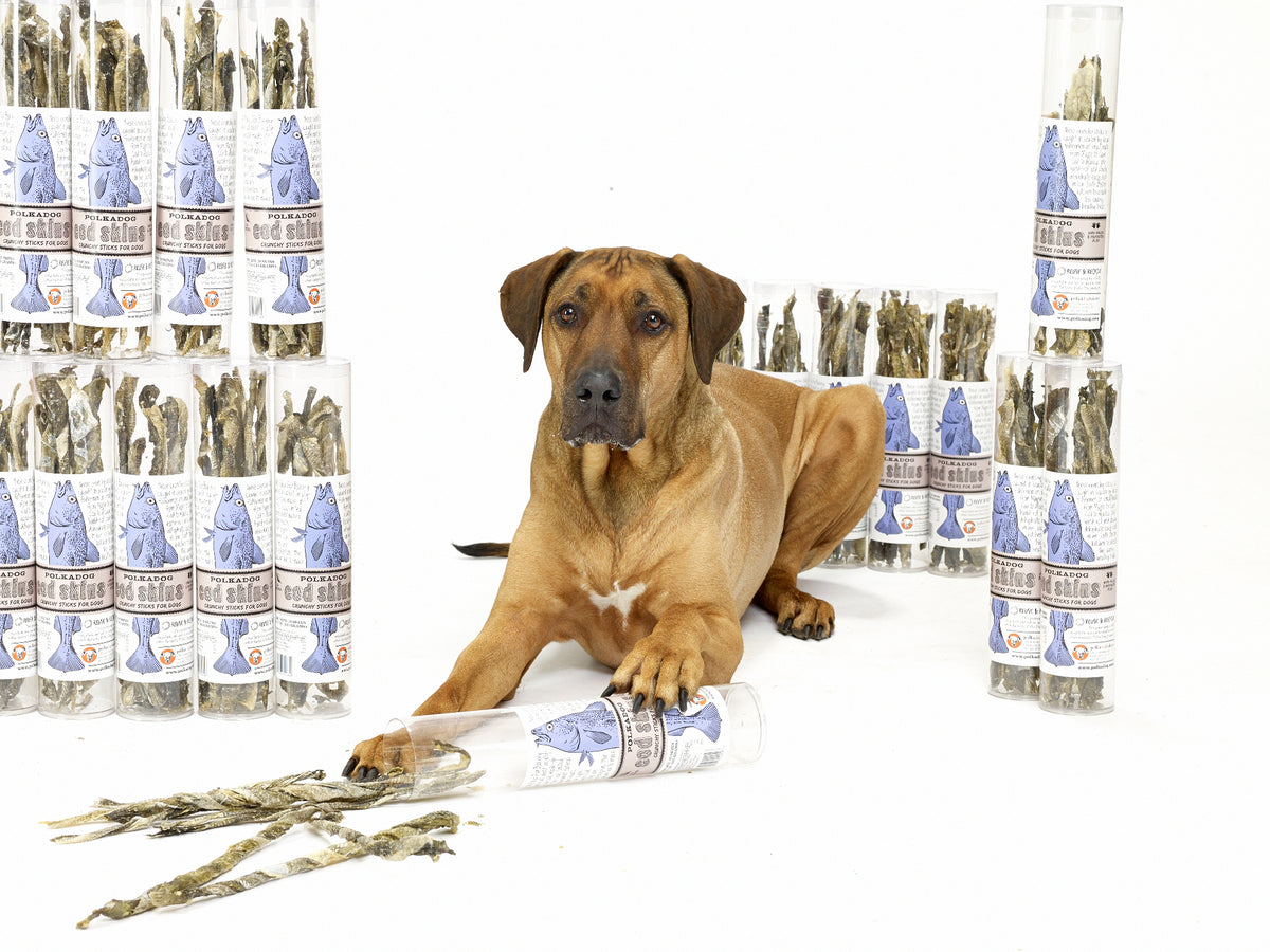 Roster - Ambassador Program – Polkadog