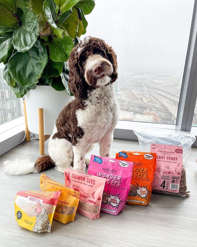 Roster - In stores and online – Page 2 – Polkadog