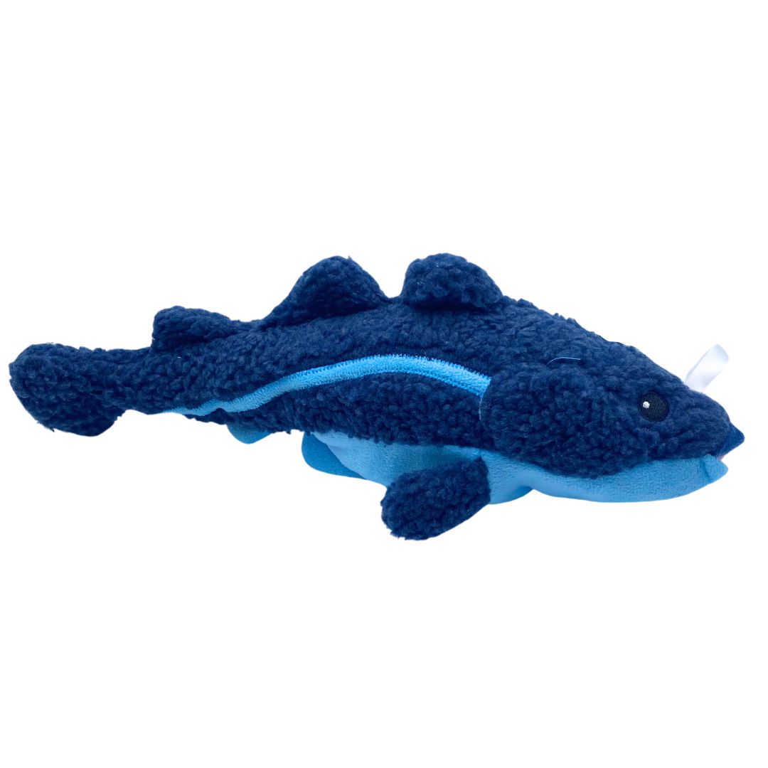 New Arrivals – Polkadog