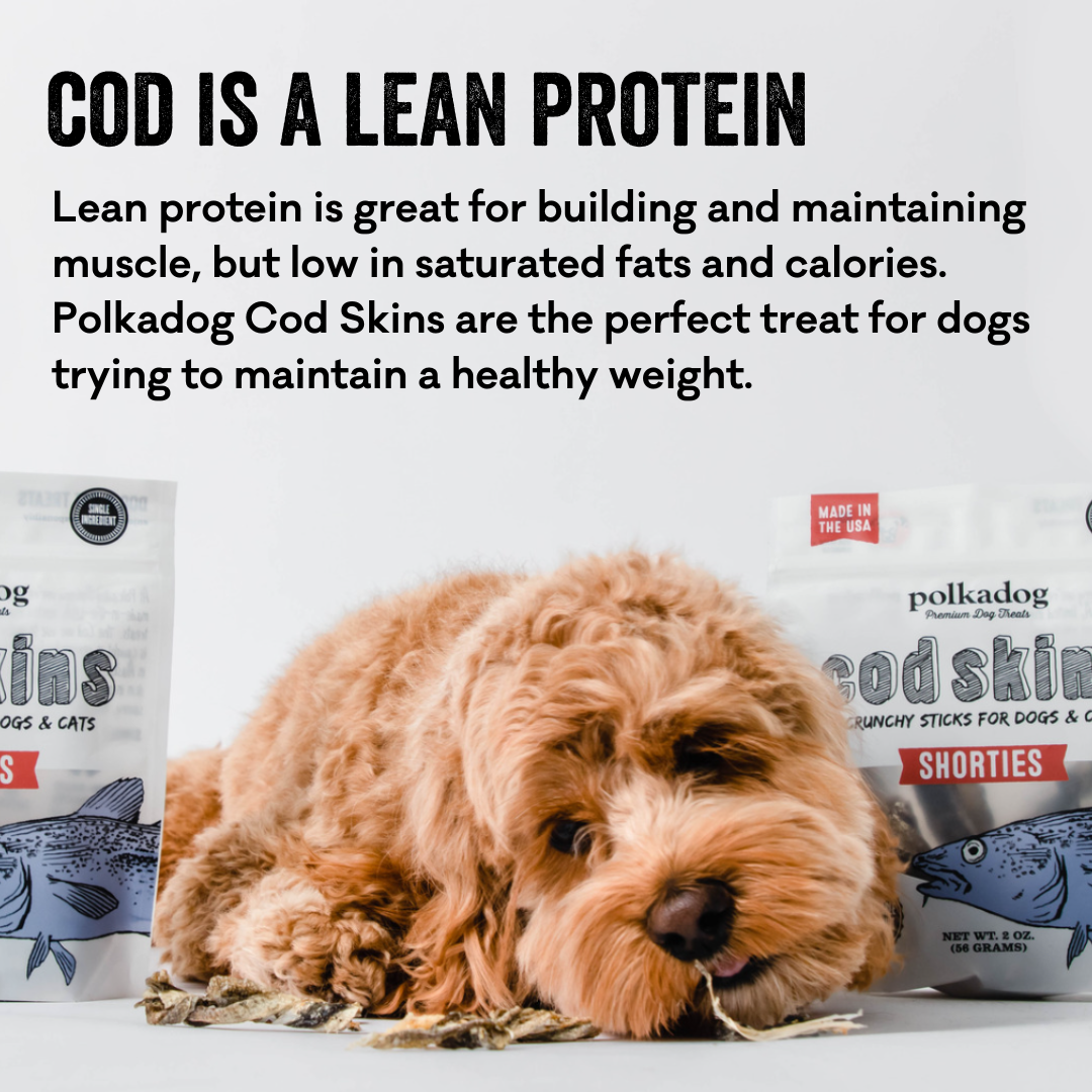 Cod Skin Dog Treats – Polkadog