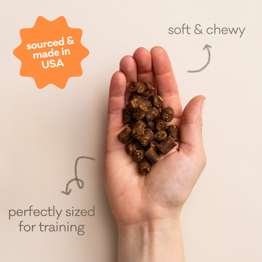 Polkadog | All-Natural Dog Treats | Handcrafted in Boston
