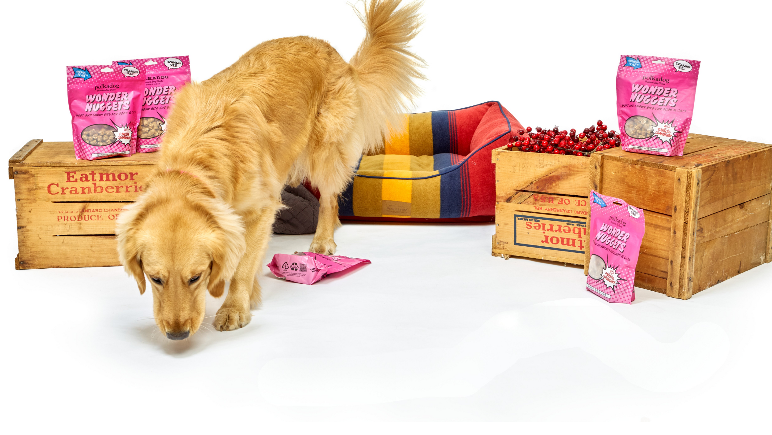 Polkadog | All-Natural Dog Treats | Handcrafted in Boston