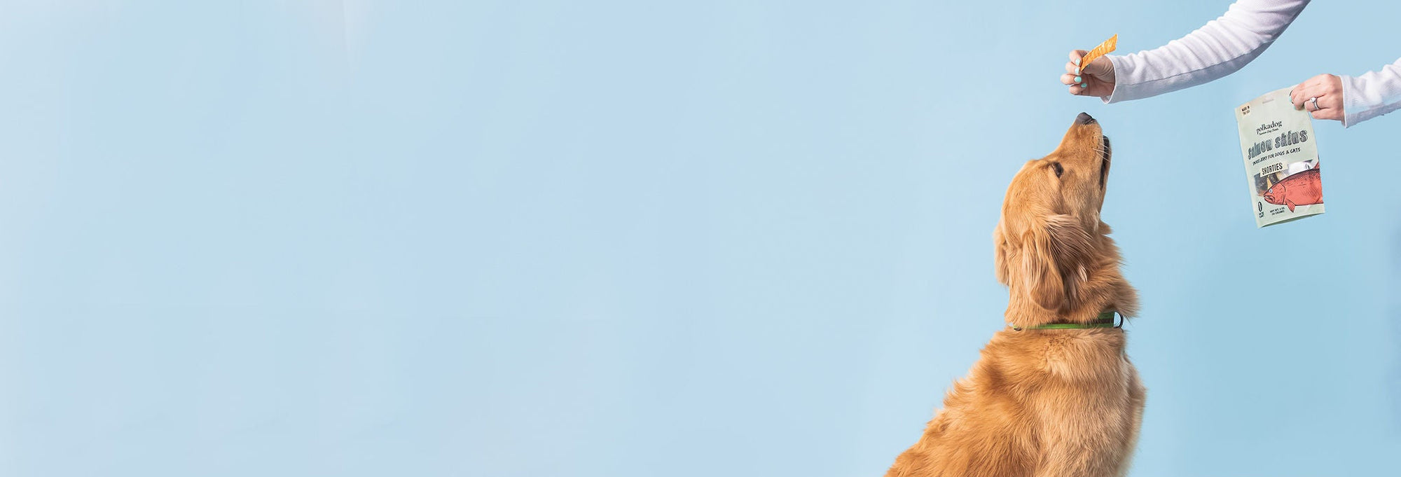 Polkadog | All-Natural Dog Treats | Handcrafted in Boston