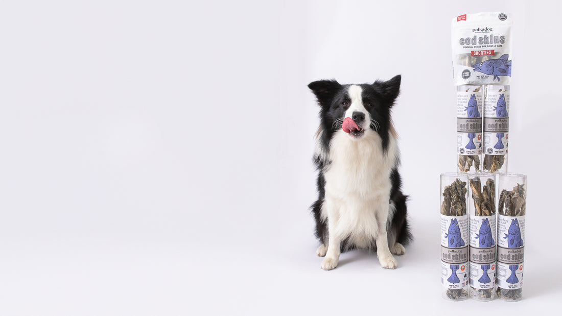Polkadog | All-Natural Dog Treats | Handcrafted in Boston