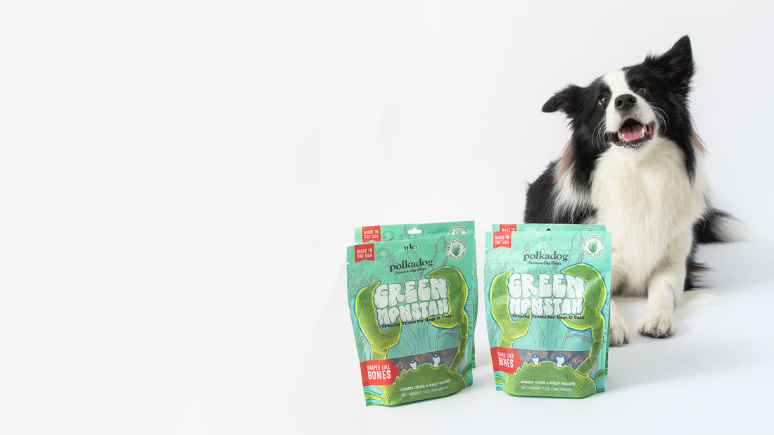Polkadog | All-Natural Dog Treats | Handcrafted in Boston
