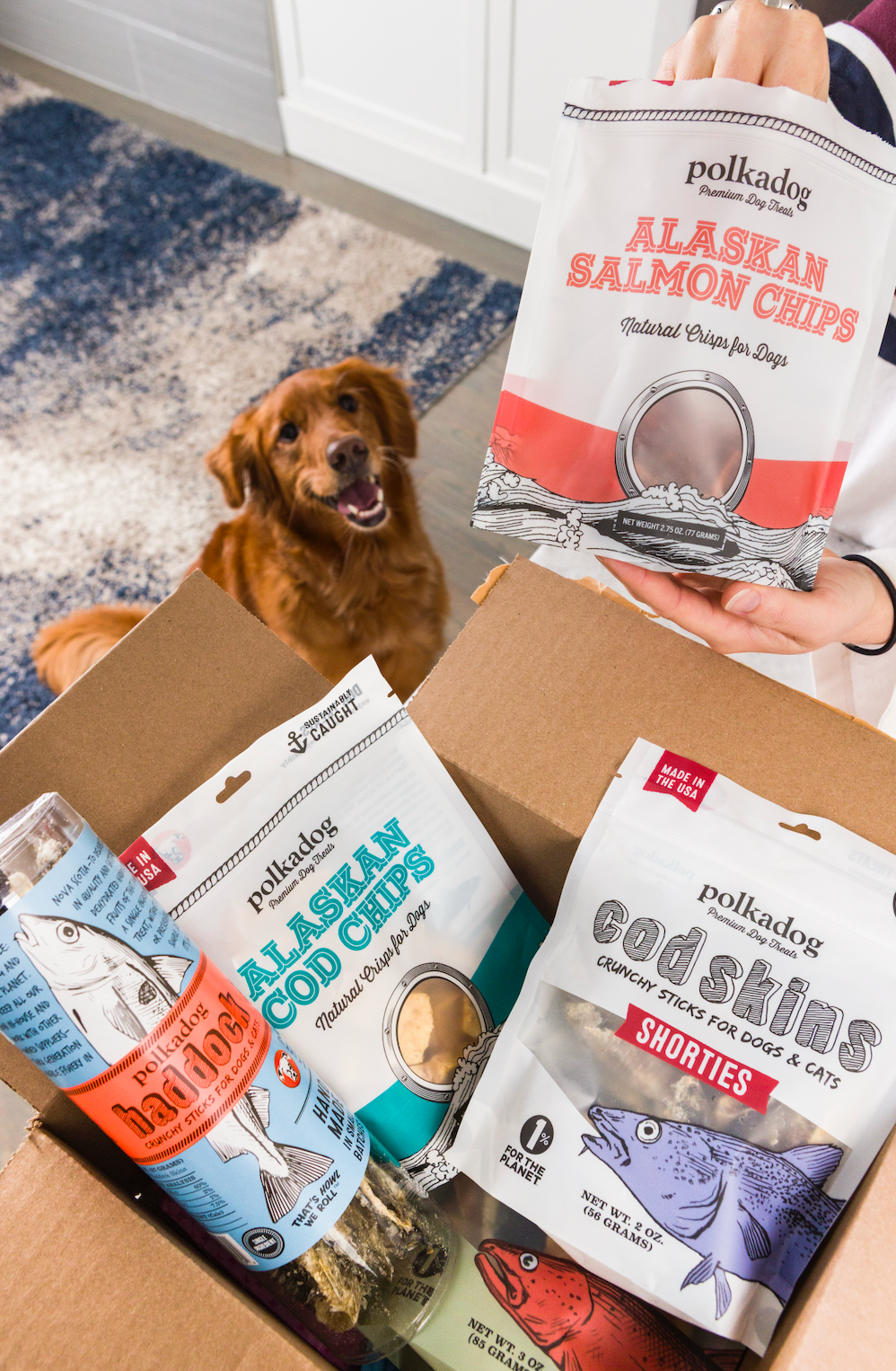 Polkadog | All-Natural Dog Treats | Handcrafted in Boston
