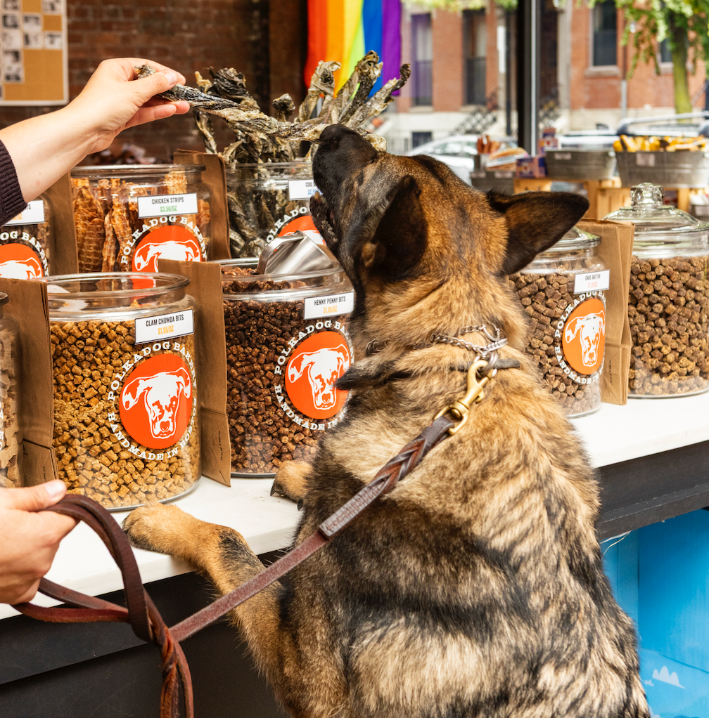 Polkadog | All-Natural Dog Treats | Handcrafted in Boston