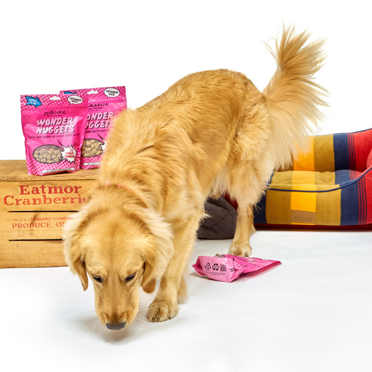 Polkadog | All-Natural Dog Treats | Handcrafted in Boston