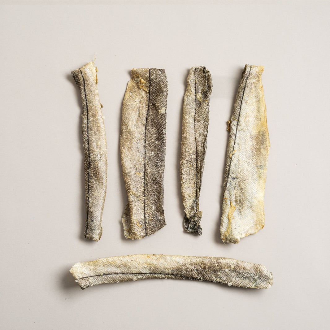 Polkadog | All-Natural Dog Treats | Handcrafted in Boston
